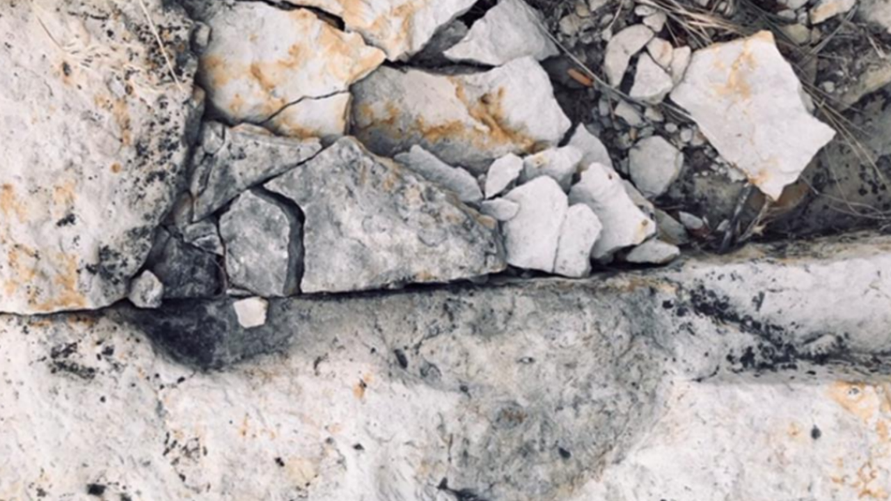 Friends of Dinosaur Ridge Seek to Preserve Fossil Site - Dinosaur Ridge