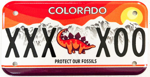 Stegosaurus License Plate - Dinosaur Ridge